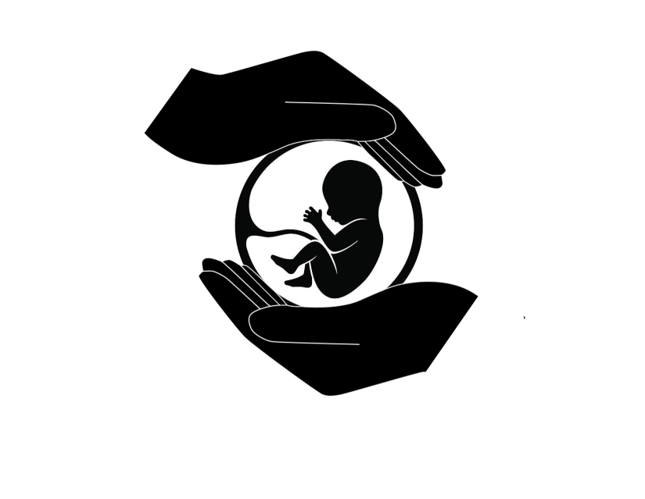 About – The Birthstrike Movement