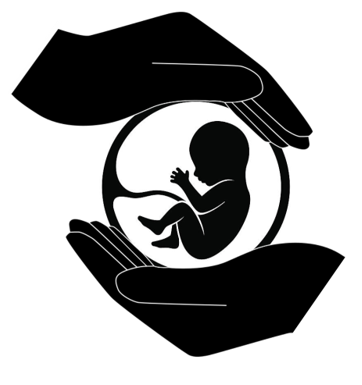 First Post and Upcoming Posts – The Birthstrike Movement